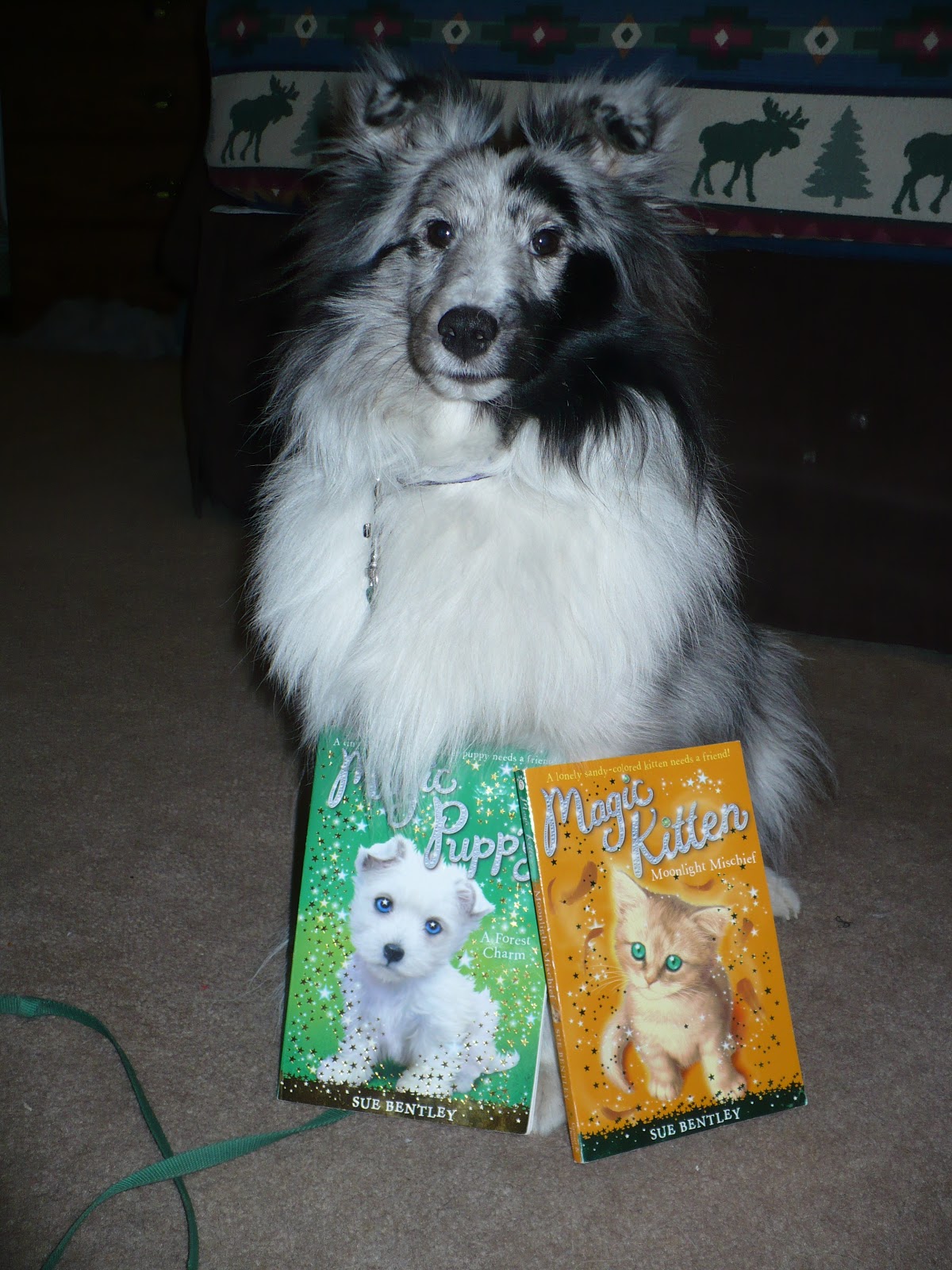 Books! Books! Books!: Magic Kitten and Puppy