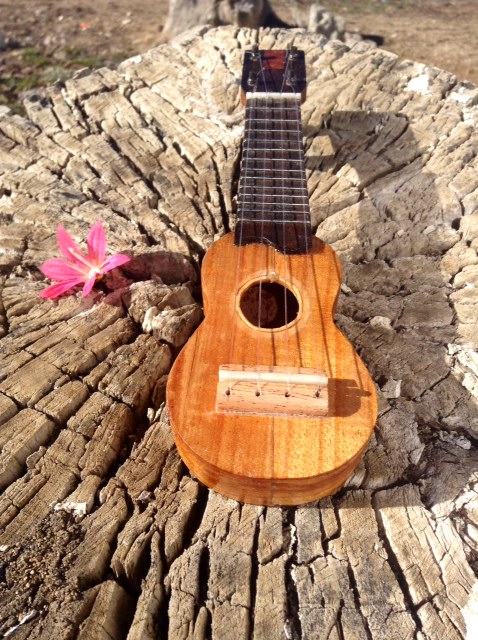 Tiwi Mini Ukuleles: Daniel's miniature mahogany uke collection