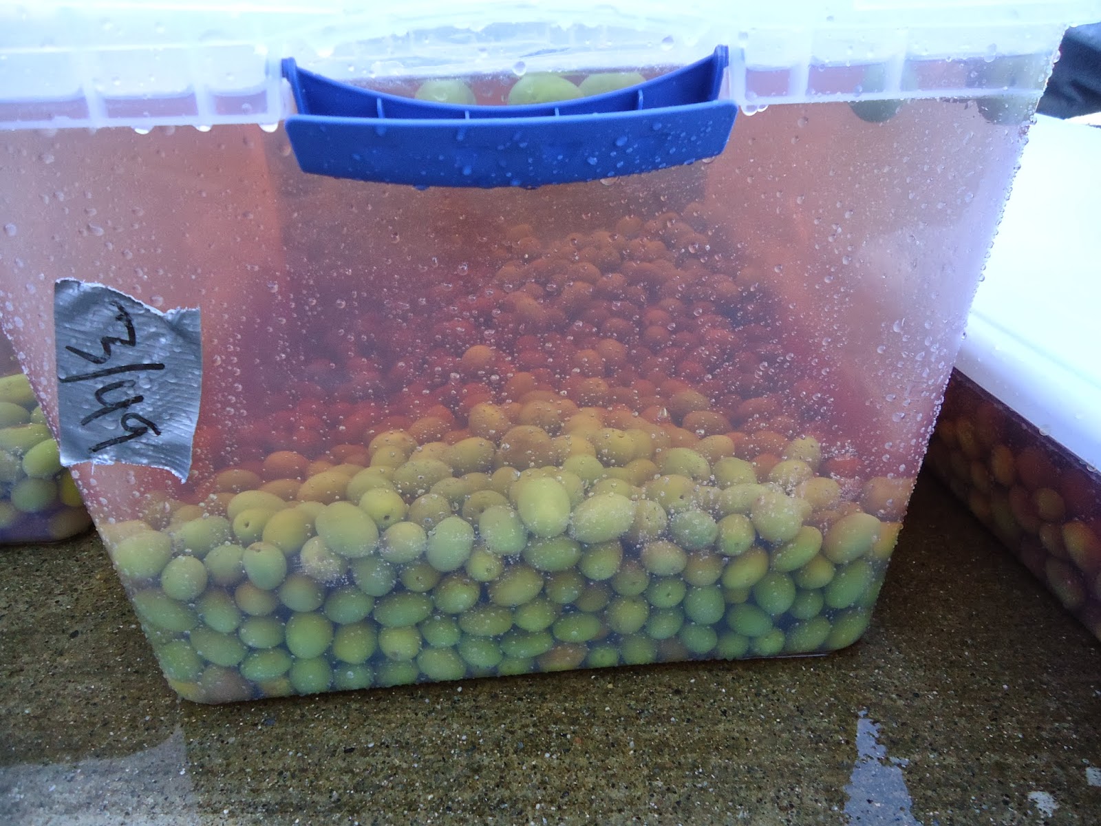 La Mexicanita Kitchen: Curing Green Olives