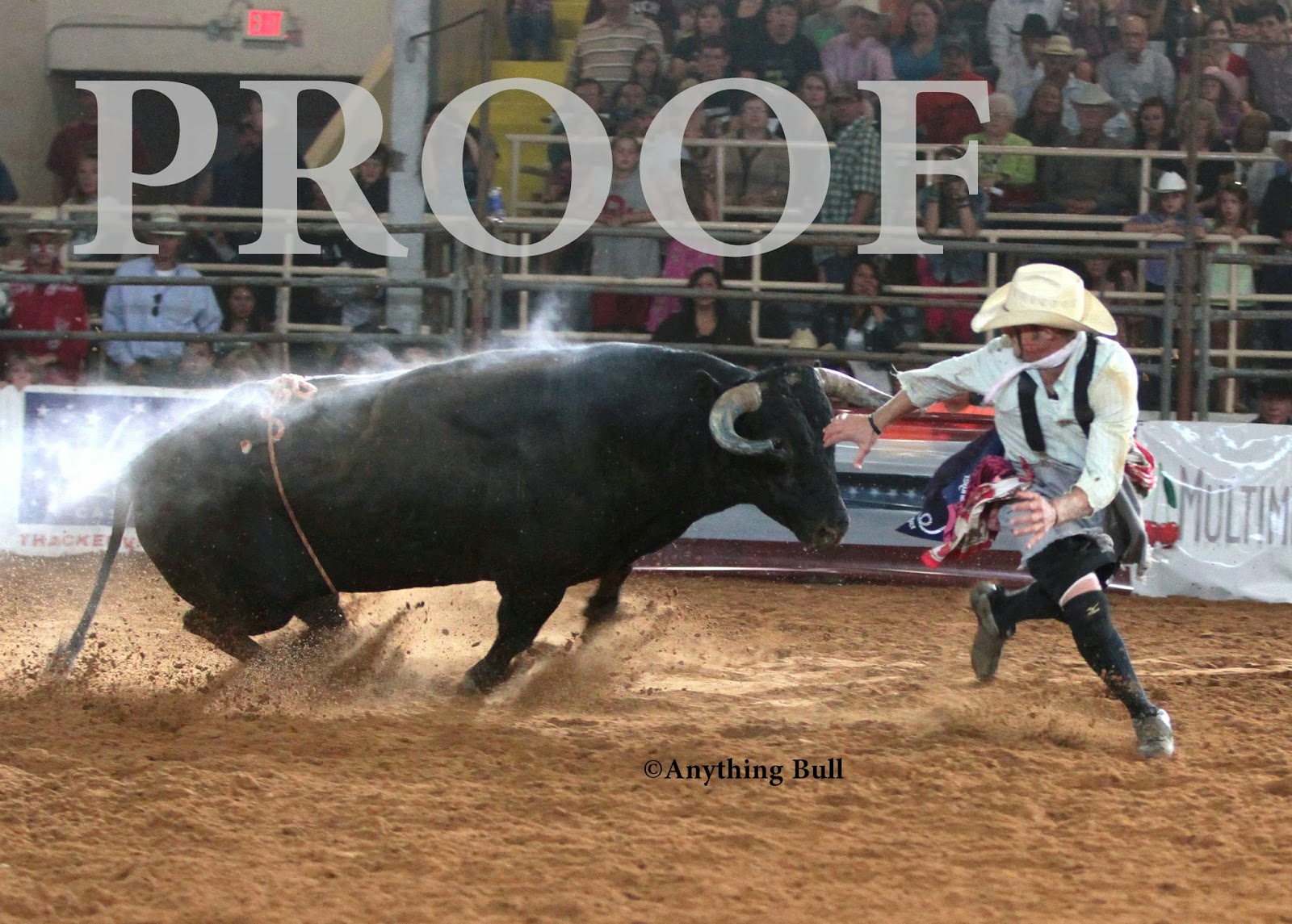 Anything Bull or Rusty: Saturday Round 4 - Clint Hopping