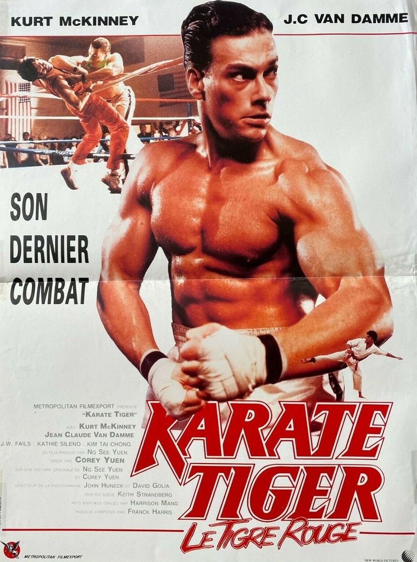 LE PETIT CINEMA DE STÉPHANE: KARATÉ TIGER