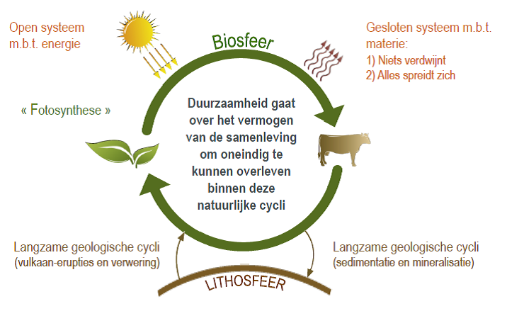 bedrijfskunde: januari 2014