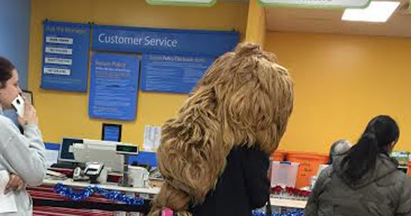 Woodsterman: They'rrrrreeee Baaaaack ... The Walmartians III