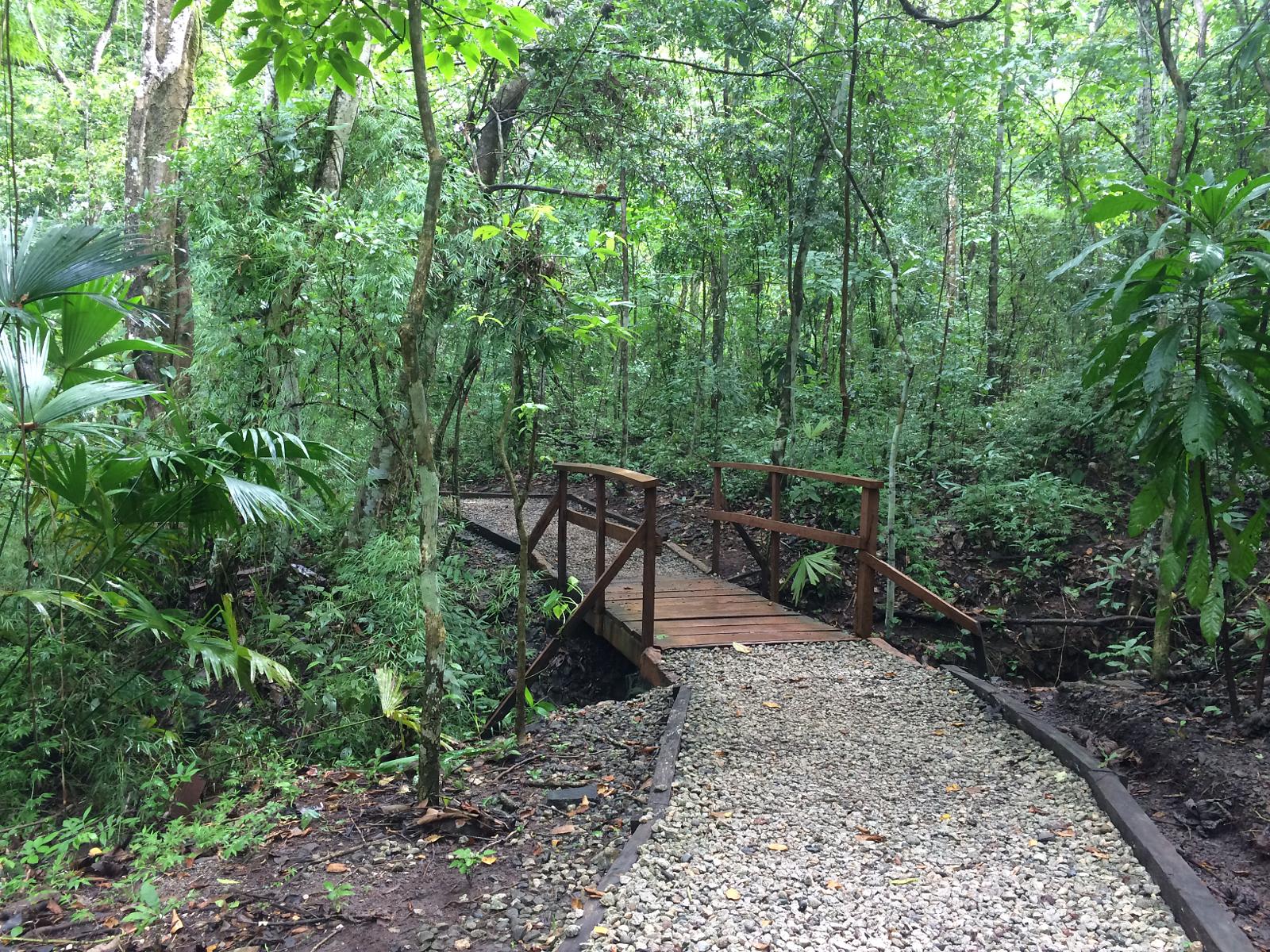 LOS PRINCIPALES PARQUES NACIONALES DE PANAMÁ