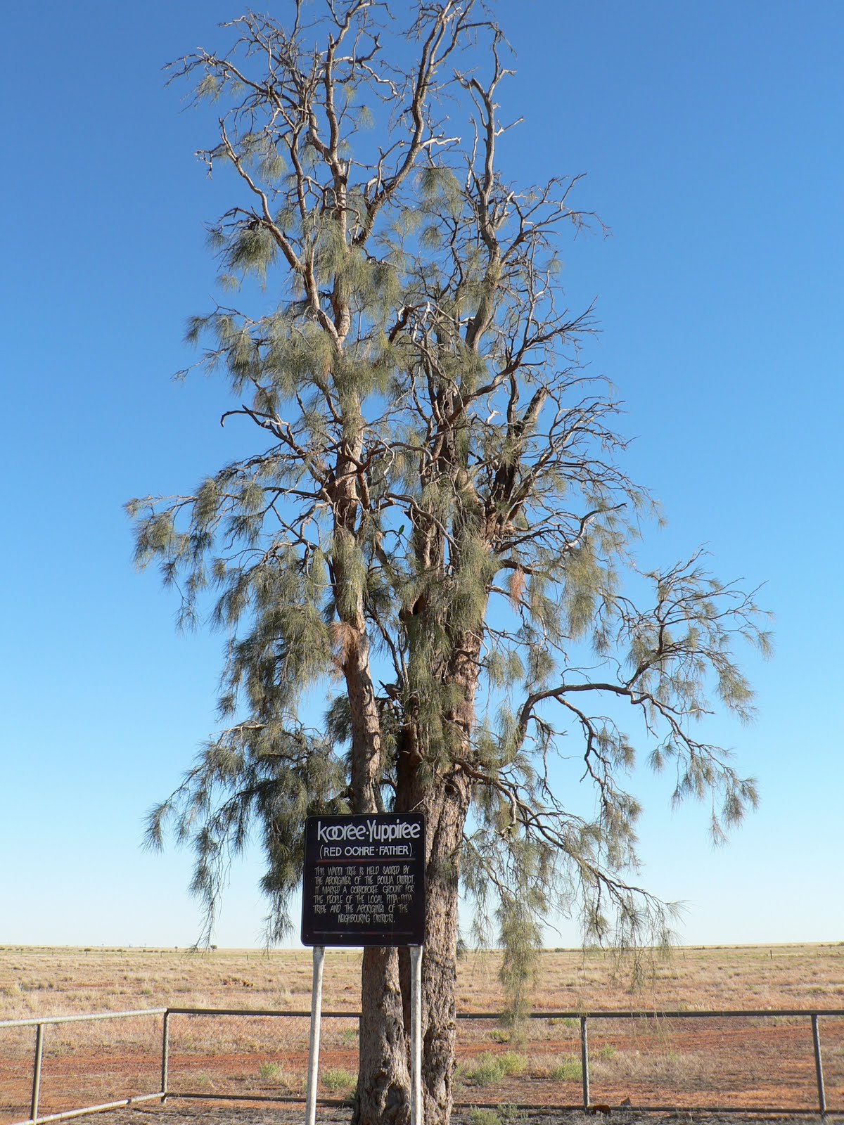 Red ochre rock dreaming: This is Australia calling