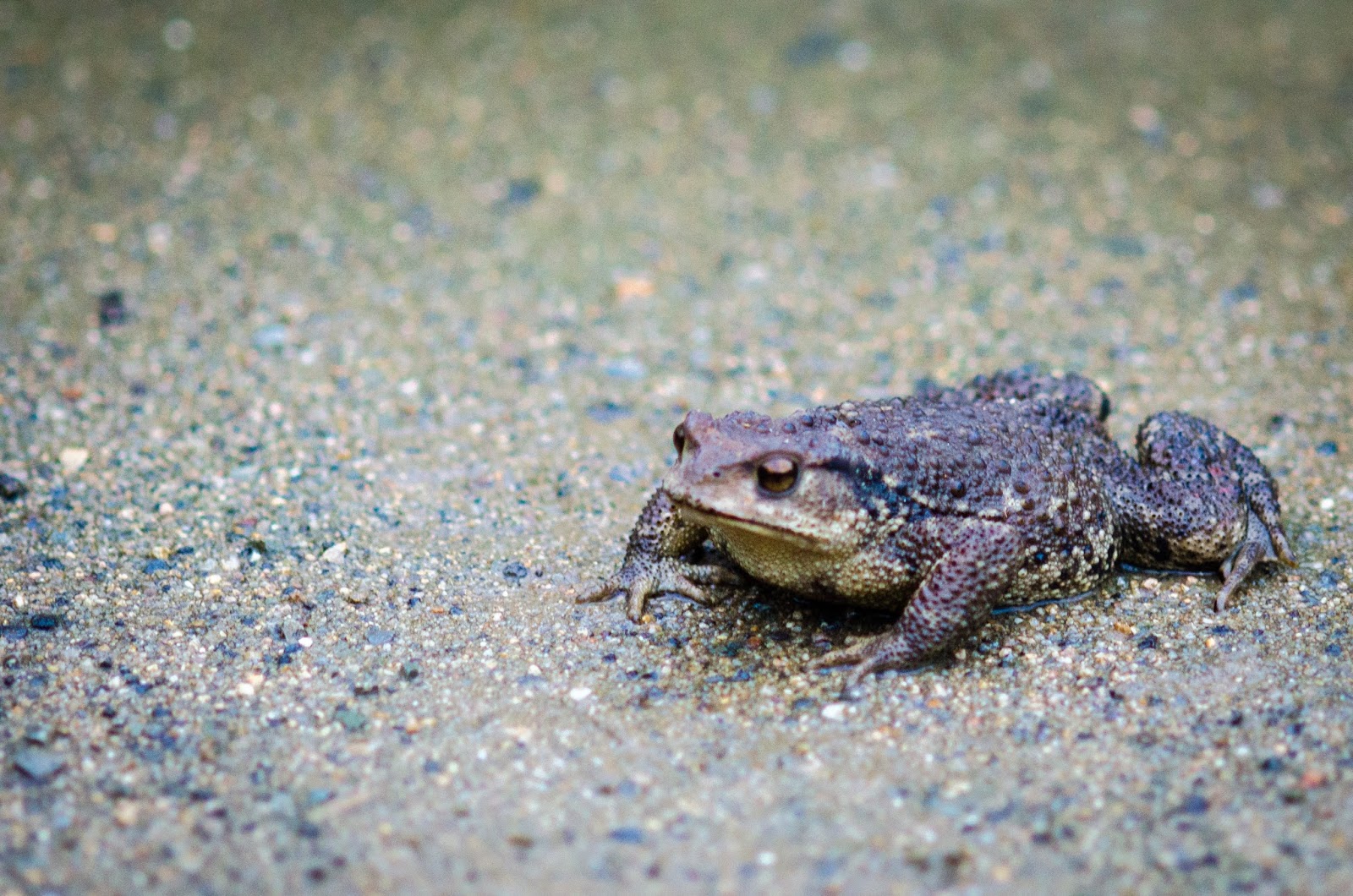 왕룡사, Pohang's Hidden Temple | 10 Pictures in Pohang