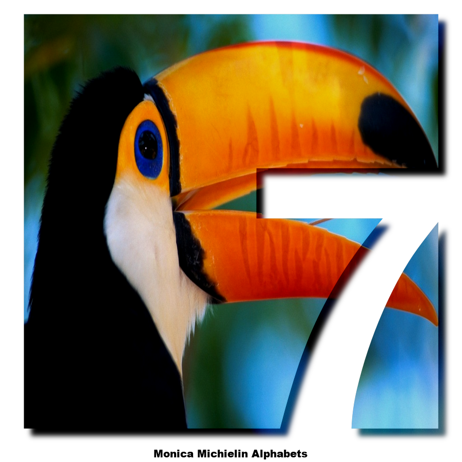 M. Michielin Alphabets: TOUCAN ALPHABET BIG FACE LETTERS, NUMBERS ...