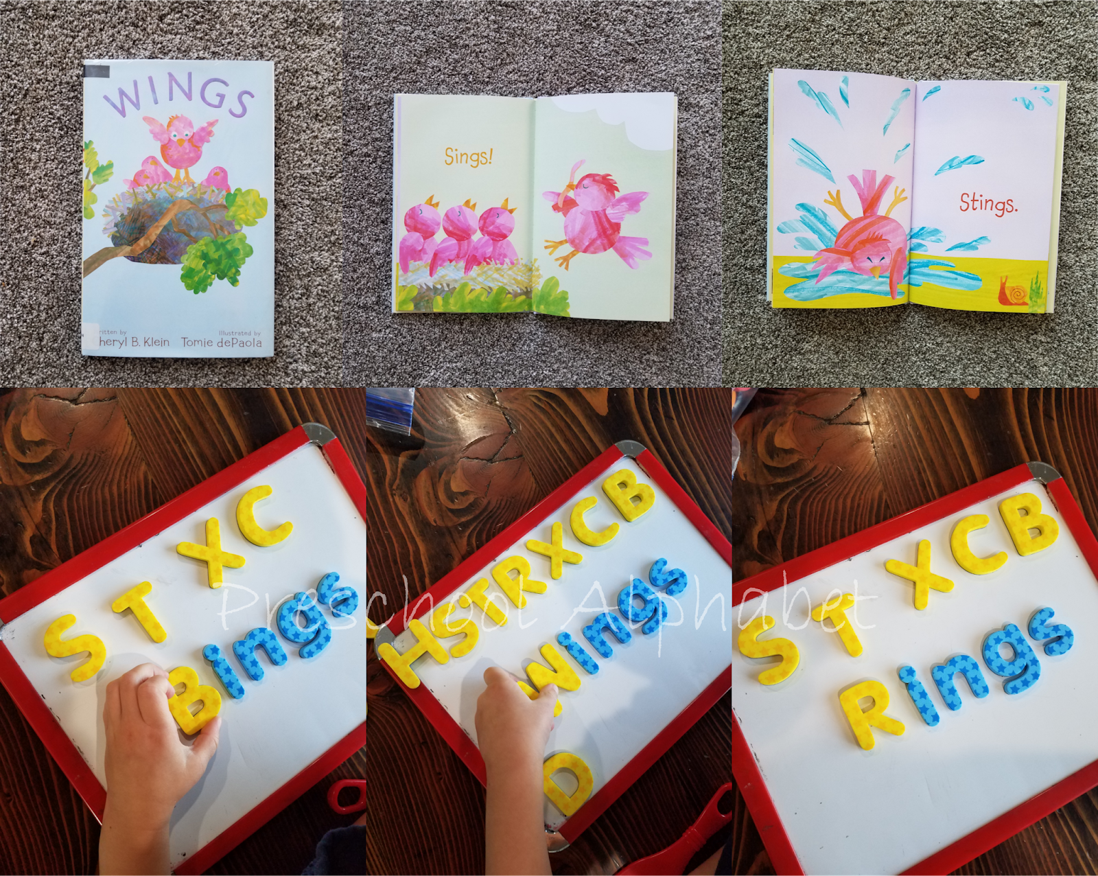 Preschool Alphabet: B is for Birds