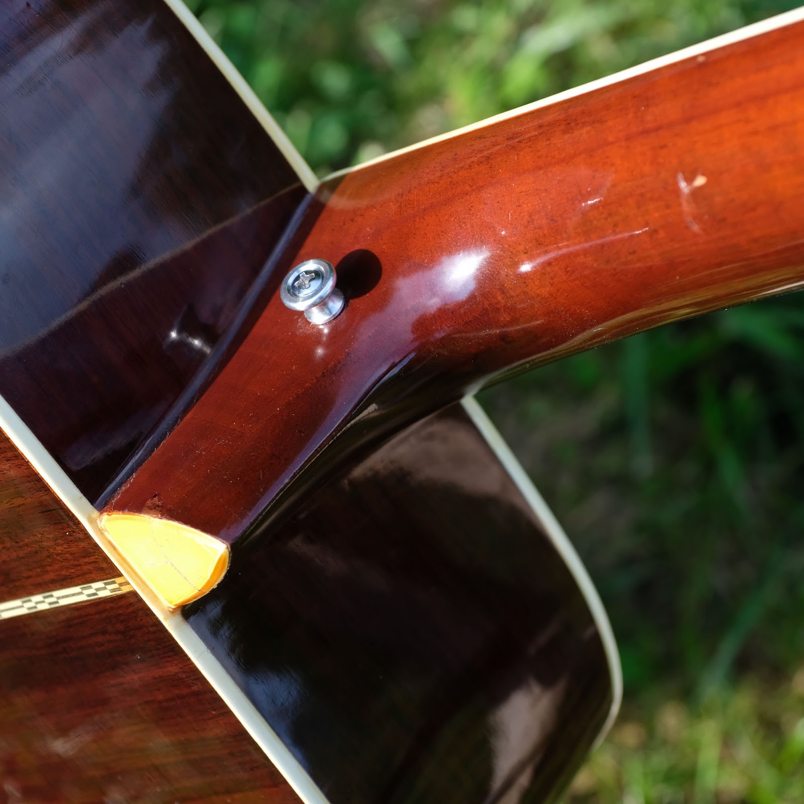 1980s Atlas 3-Course Mandocello Conversion