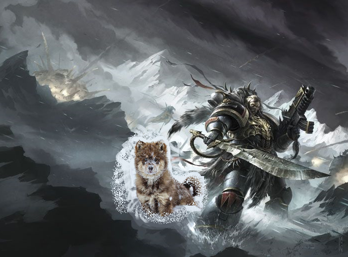 500pts Starter Space Wolves Army: The Saga Begins!