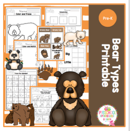 Bear Types Printable (updated) ~ Preschool Printables