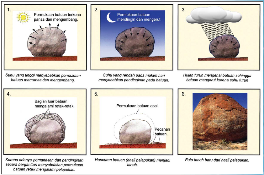 Proses Eksogen Pembentuk Muka Bumi: Pelapukan, Pengikisan, Pengendapan ...