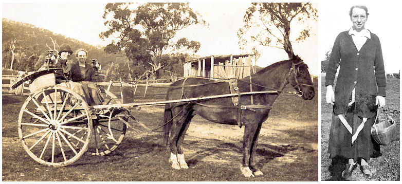 James Chard: Devondale Progeny