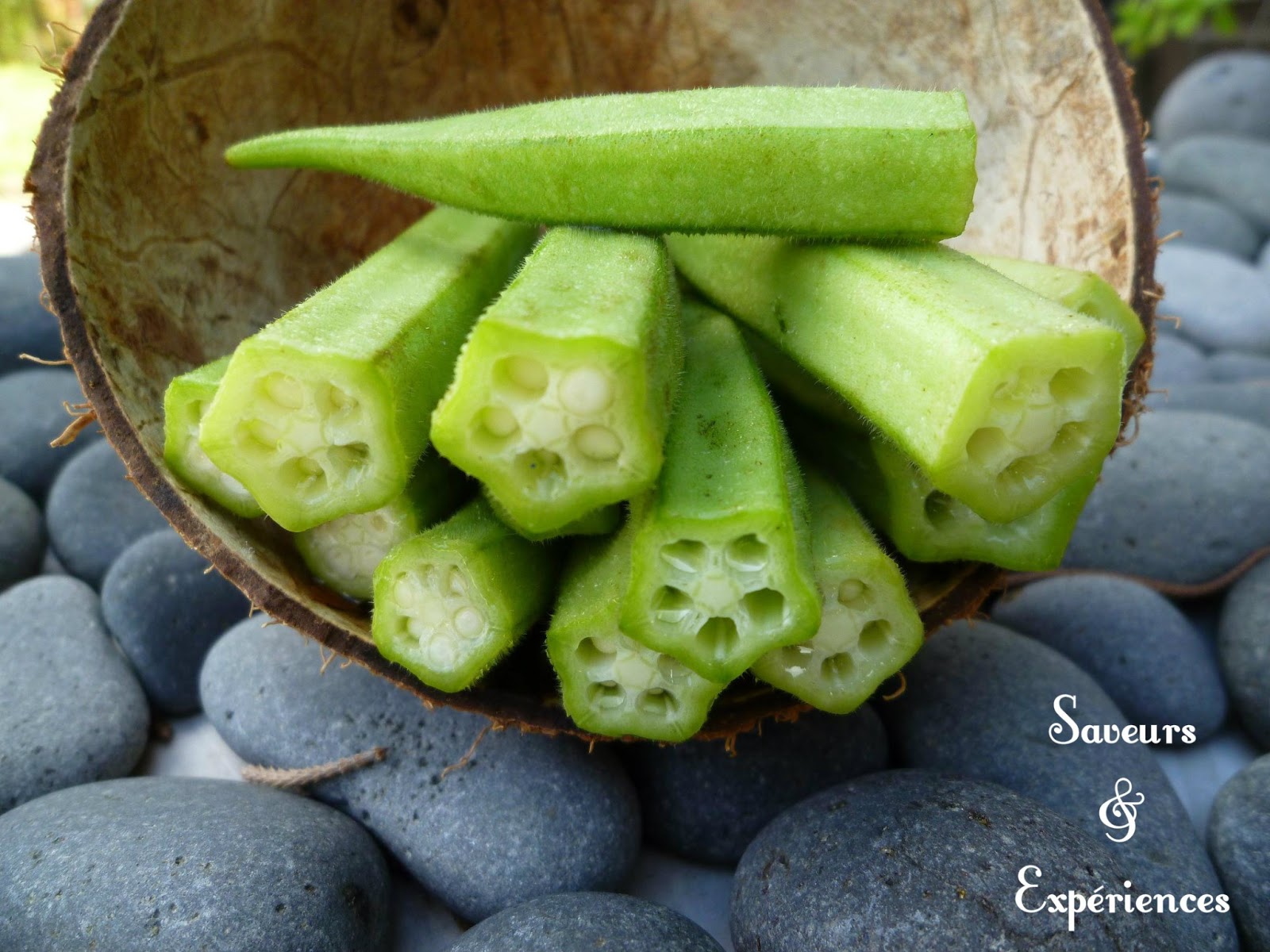 Voyages et Expériences : Maurice: Saveurs des Mascareignes, les Fruits ...