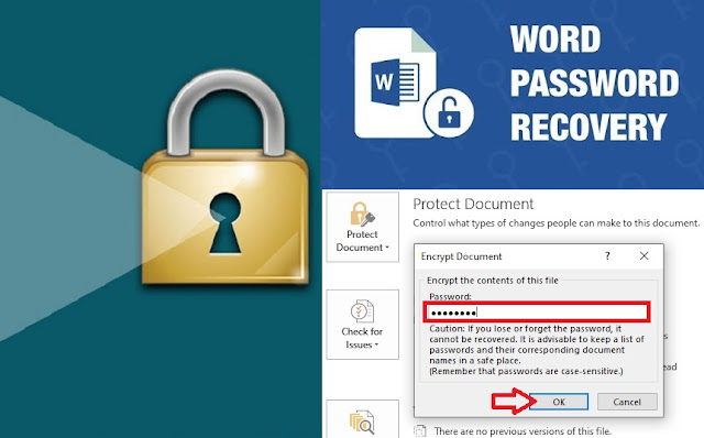 How to Password Protect & Decrypt Word Documents Offline & Online ...
