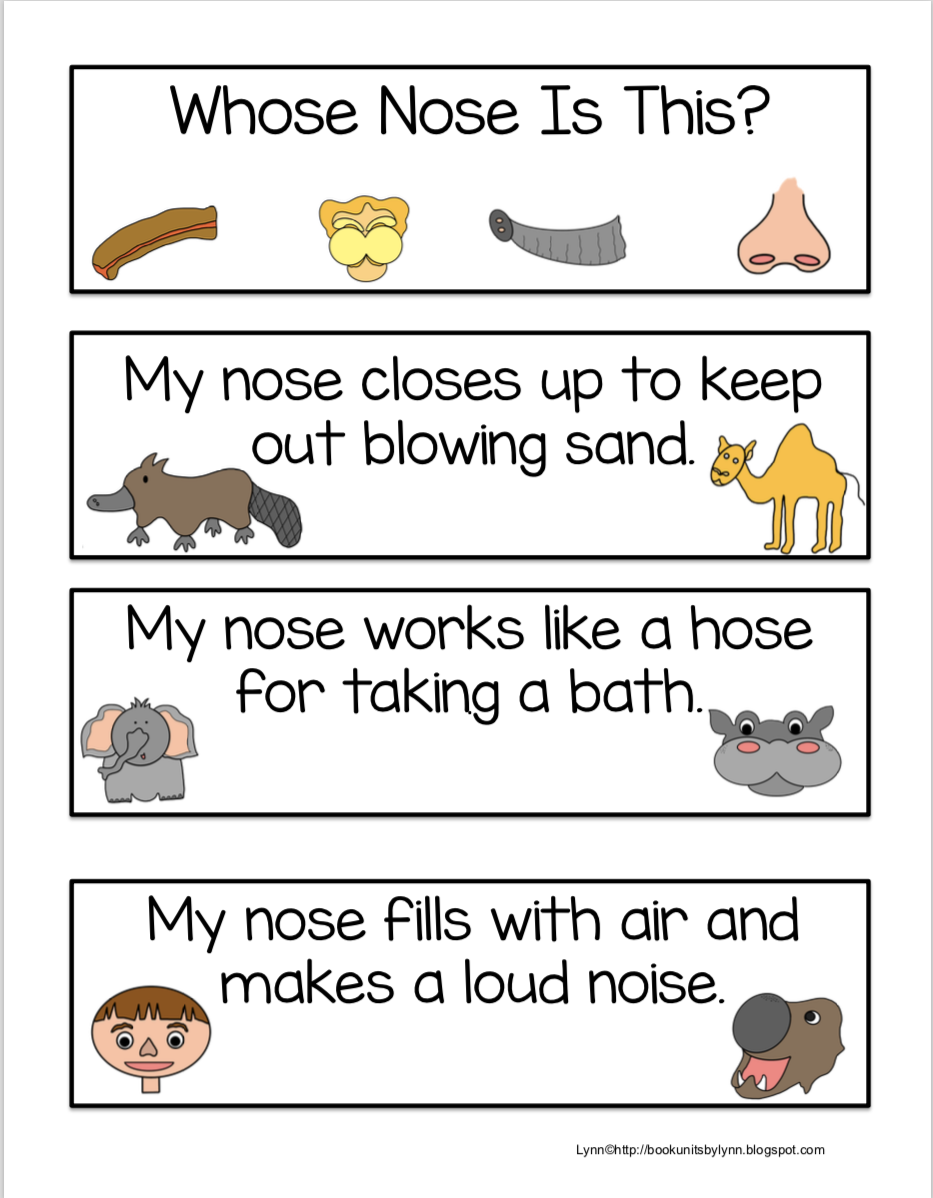 WHOSE NOSE IS THIS? BOOK UNIT ~ Book Units by Lynn