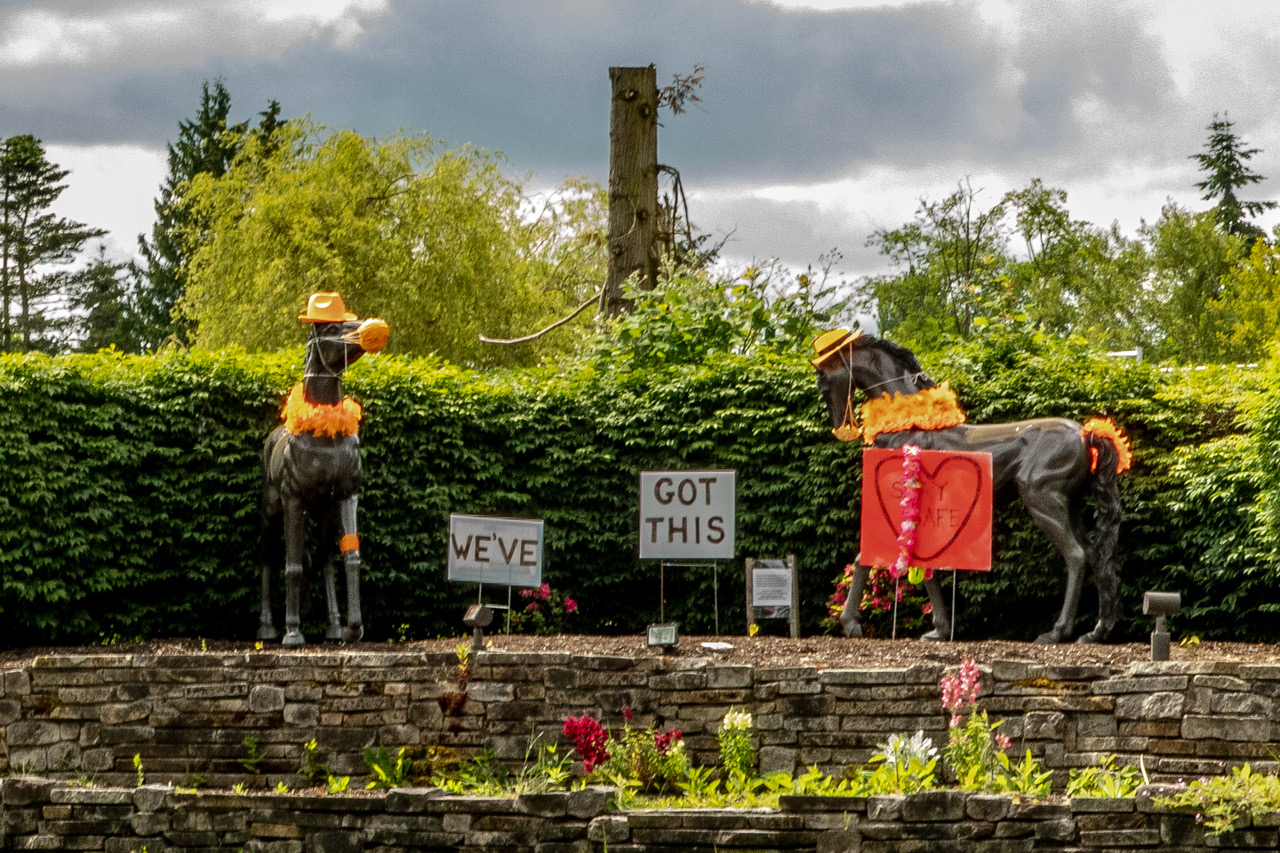 Shoreline Area News: Positive ponies