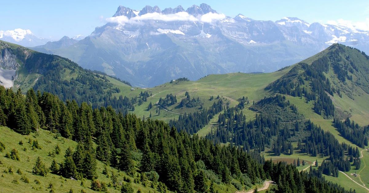 CHATEL - Ski - Accommodation -France : Summer Activities