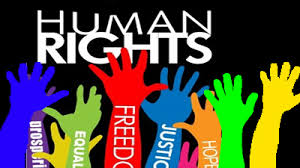 Law and Lawyers: British Institute of Human Rights ~ NEW FACTSHEET