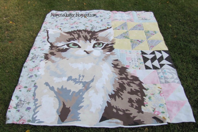 Alamosa Quilter: Meow or Never Kit