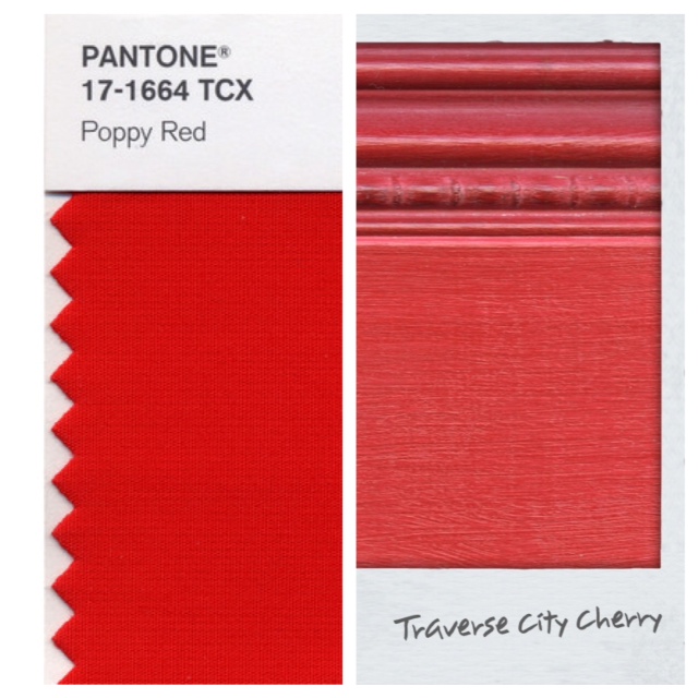 pantone | Doozie's Corner