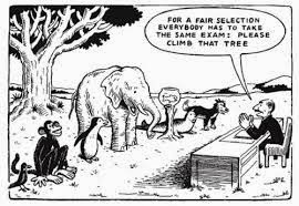 Fish can't climb trees! - Vikie Shanks