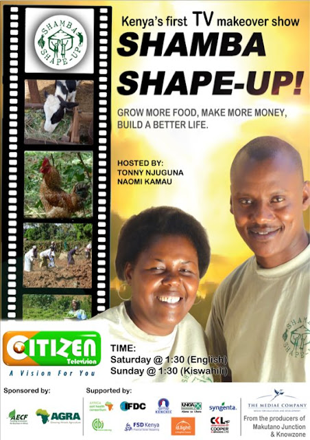 Tracking The Agricultural Scent: My Take on Shamba Shape Up