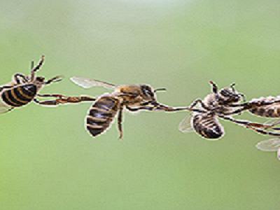 Unmanned Experts Inc.