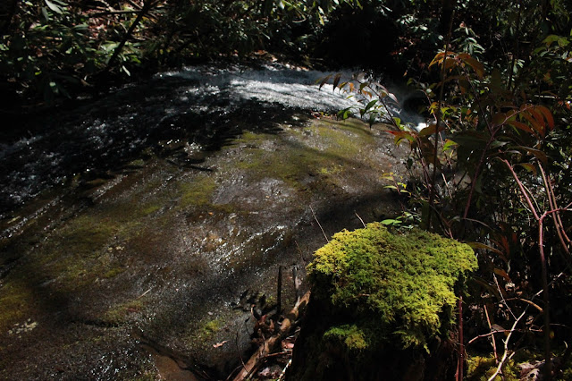 Cumberland Gal: Waterfall Keepers Trip #2: Lemon Falls, Logging Road ...