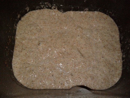 POOLISH FOR THE BREAD MACHINE