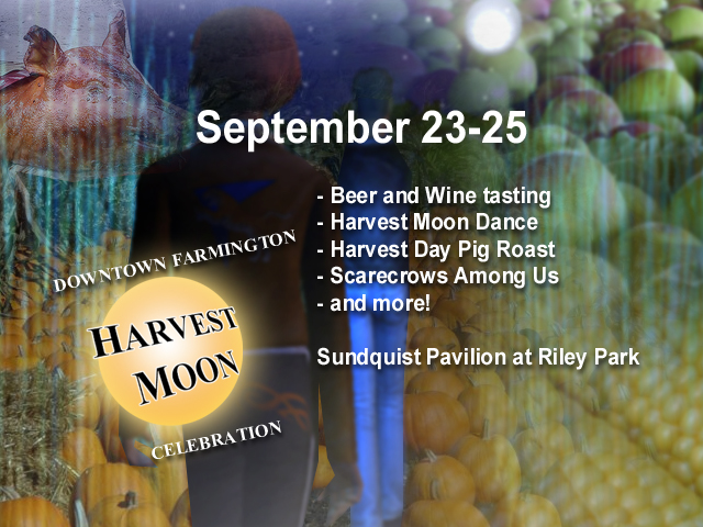 Dozerfleet: SWOCC Studios Project Library