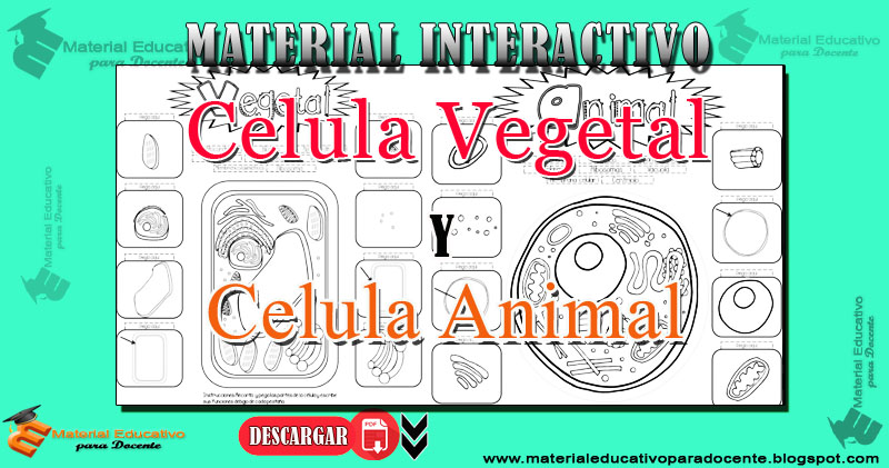 Material Educativo: abril 2018