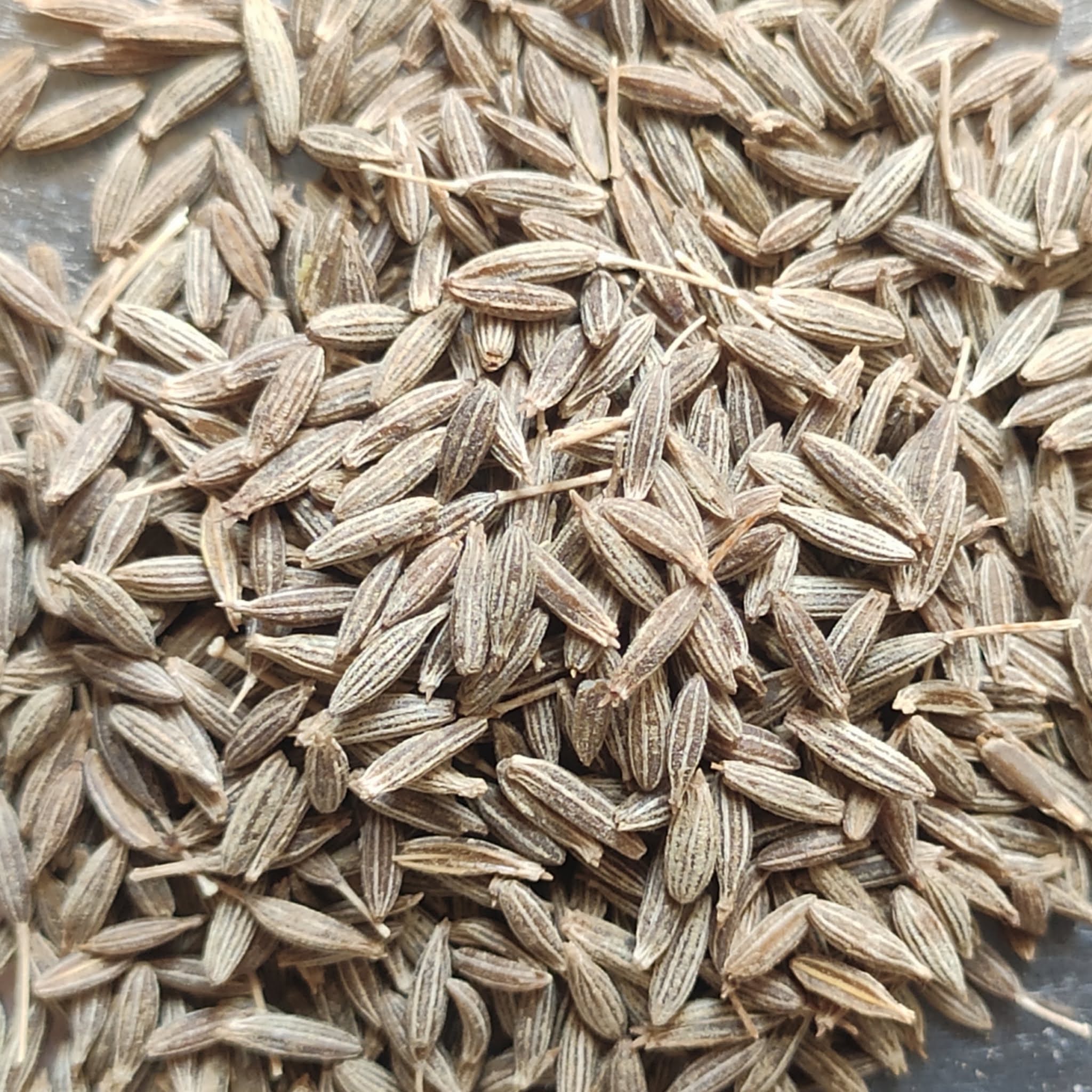 KRISHIGRAM: SPICE CROPS