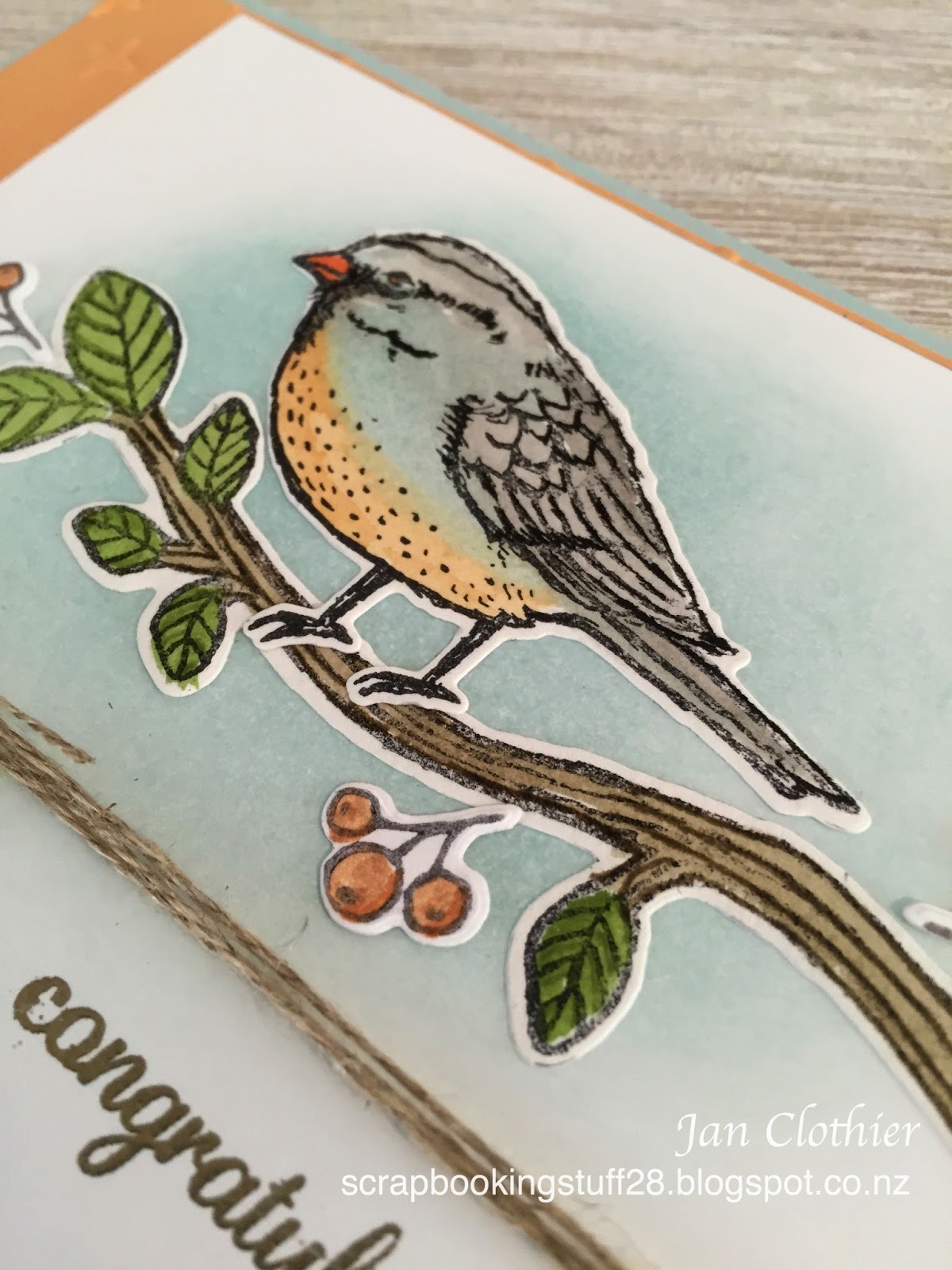 Thinking Stamping: House of Cards - Birds