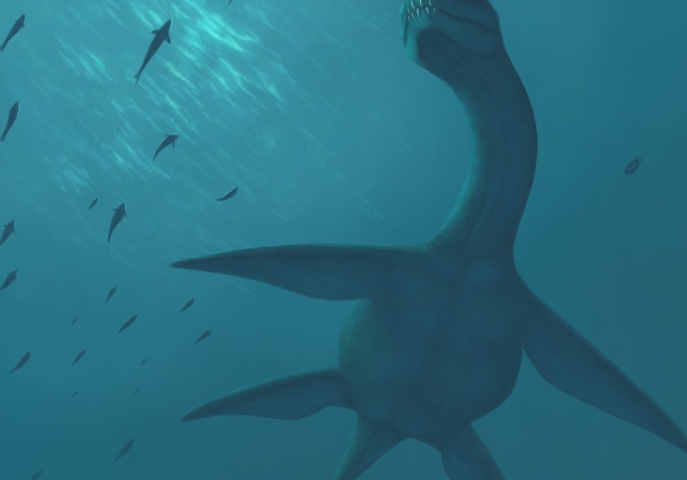 Bessie (lake Monster) - Lake Erie Monster