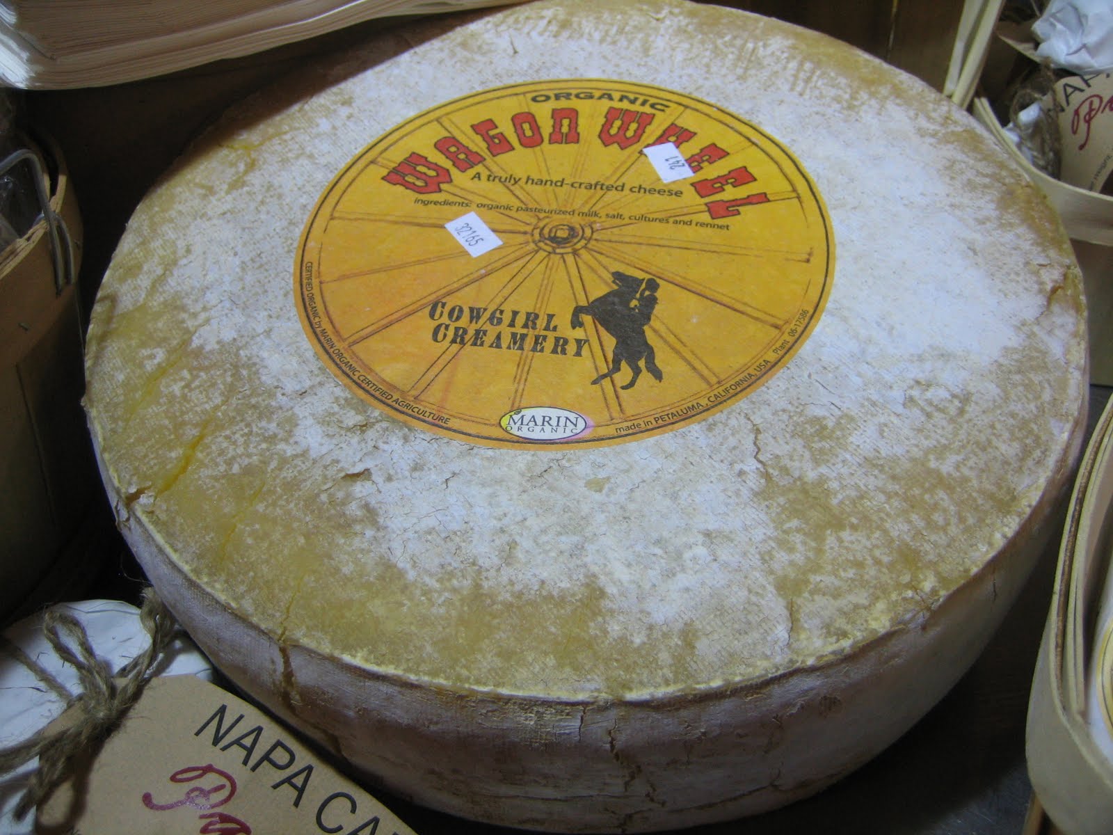 Cheesin in Cali: Introduction Cheese Week