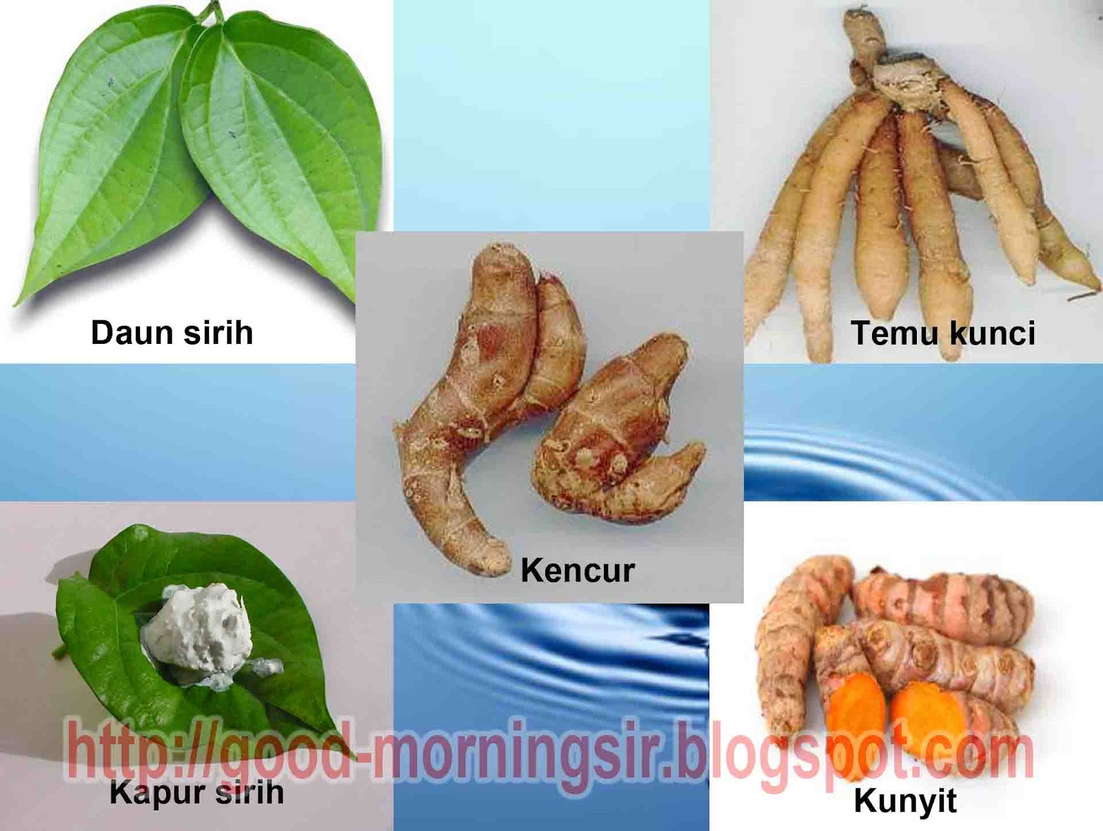 RAMUAN JAMU TRADISIONAL : RAMUAN UNTUK MENCEGAH KEHAMILAN