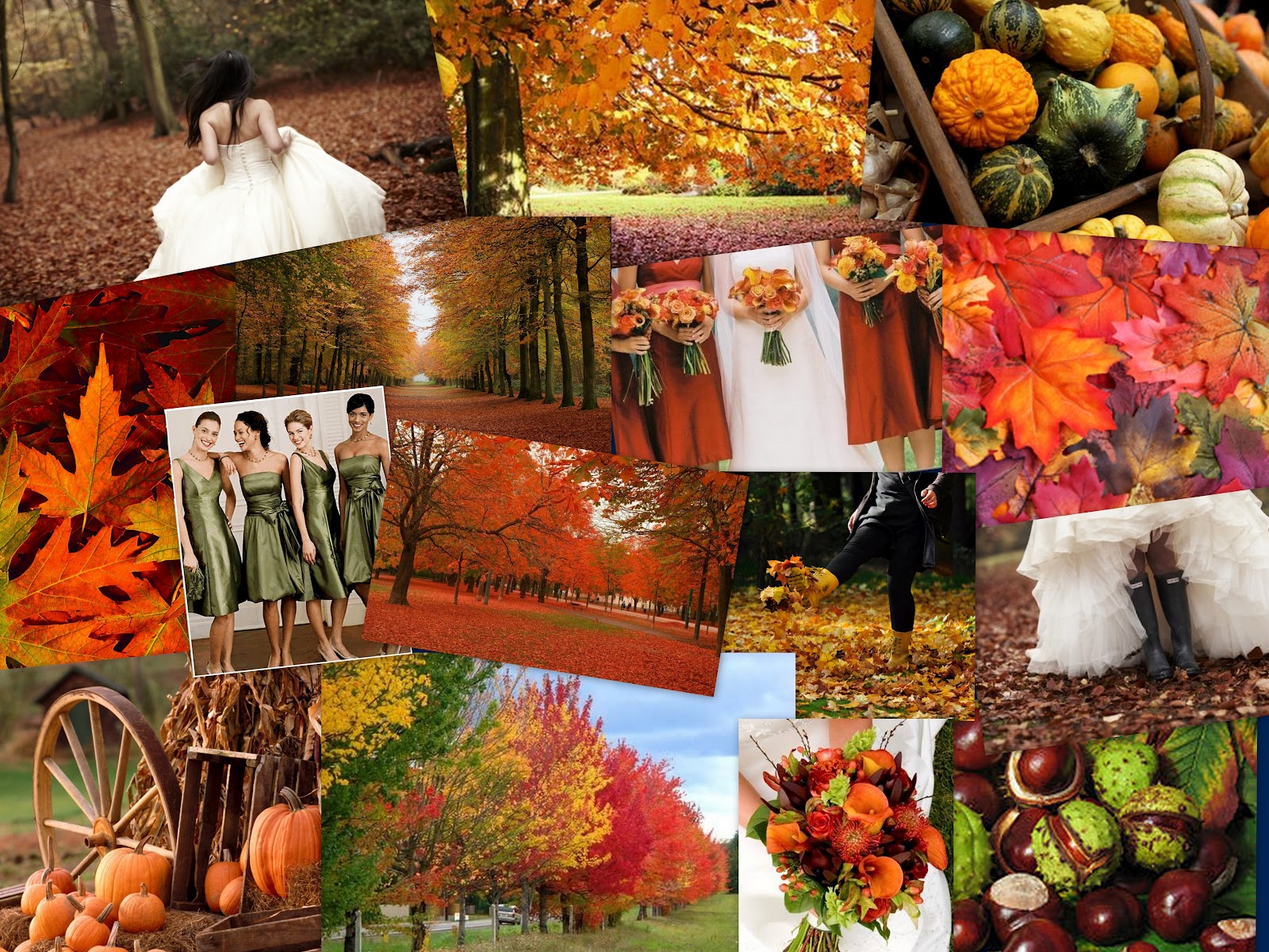 Autumn Inspiration | Wedding Planner Bournemouth, Dorset, Hampshire ...