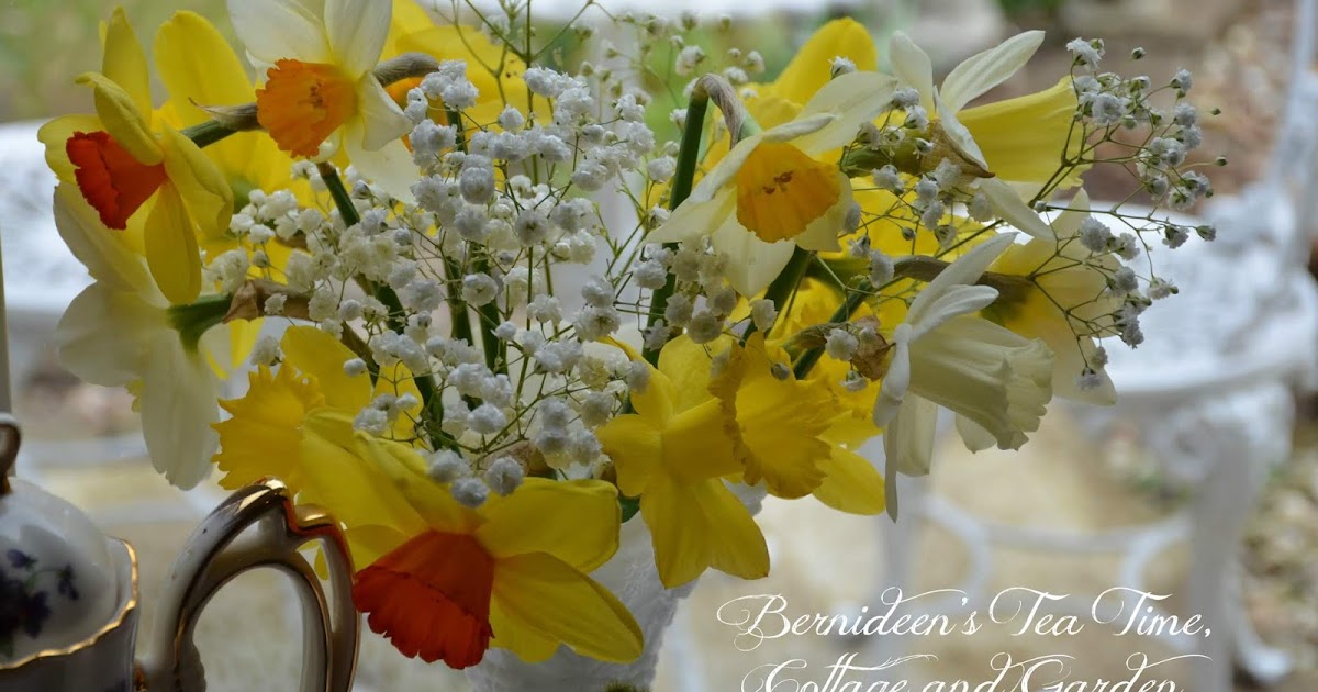 Bernideen's Tea Time, Cottage and Garden: TEA BY THE WINDOW