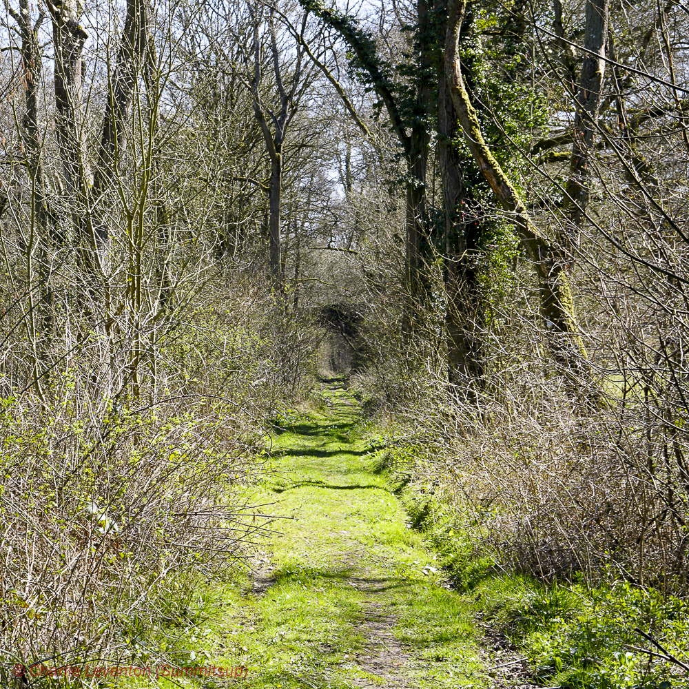 Summitsup: Wart Hill and Onny Trail