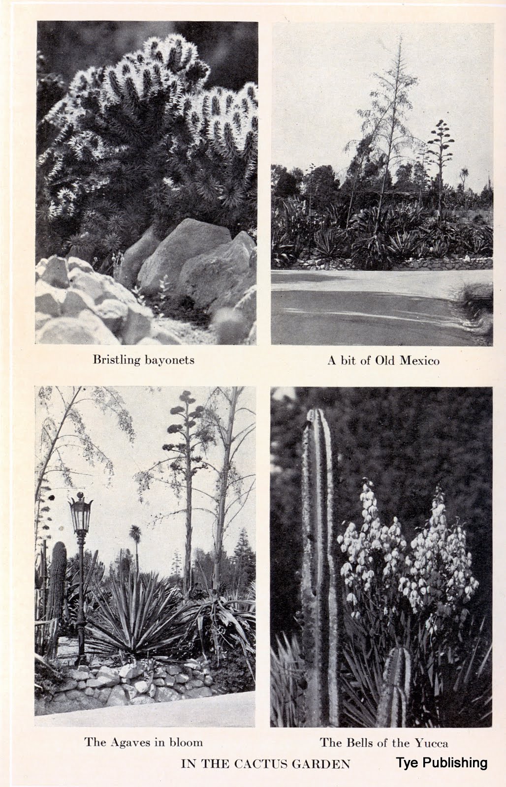 A Look Back at Vintage Los Angeles: Background for Arthur Letts