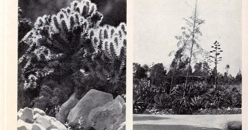 A Look Back at Vintage Los Angeles: Background for Arthur Letts