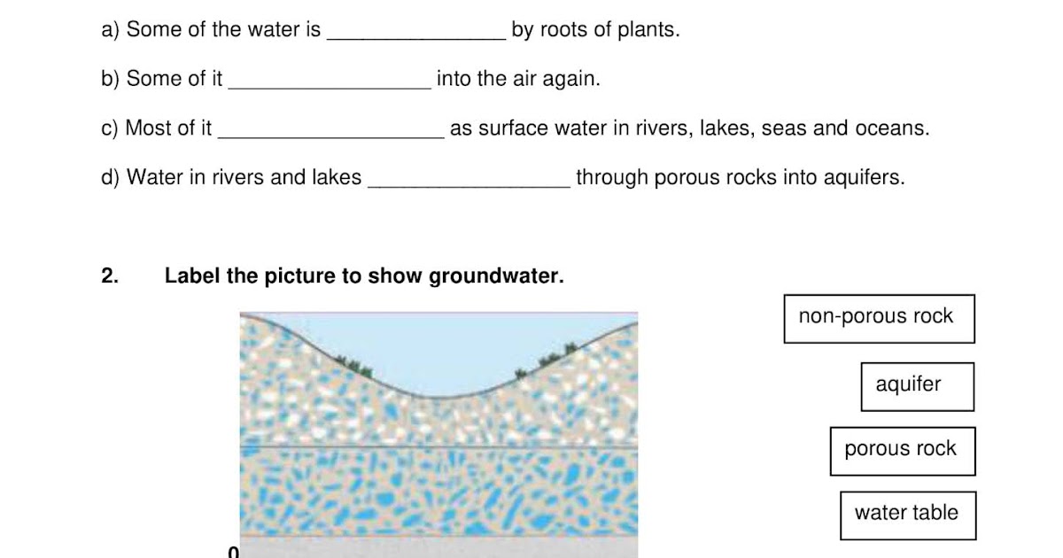 ENGLISH AND SCIENCE CLASS FOR FOURTH GRADE