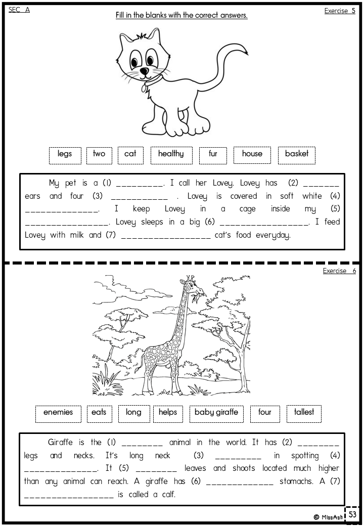 ASH THE TEACHER: Year 2 Step by Step Writing Module Part 2
