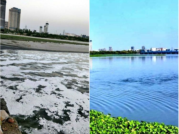 REJUVENATION OF NATURE