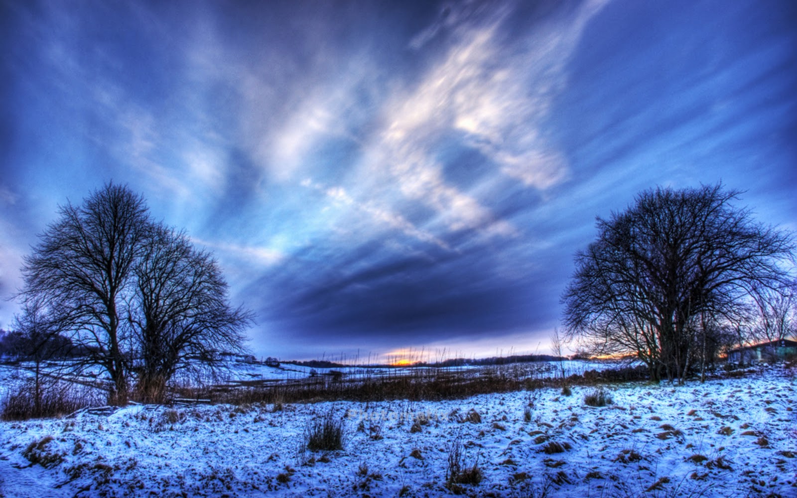 NextBackground: Random Nature #2