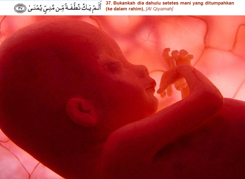 Proses Manusia di Alam Rahim | Aman Iman