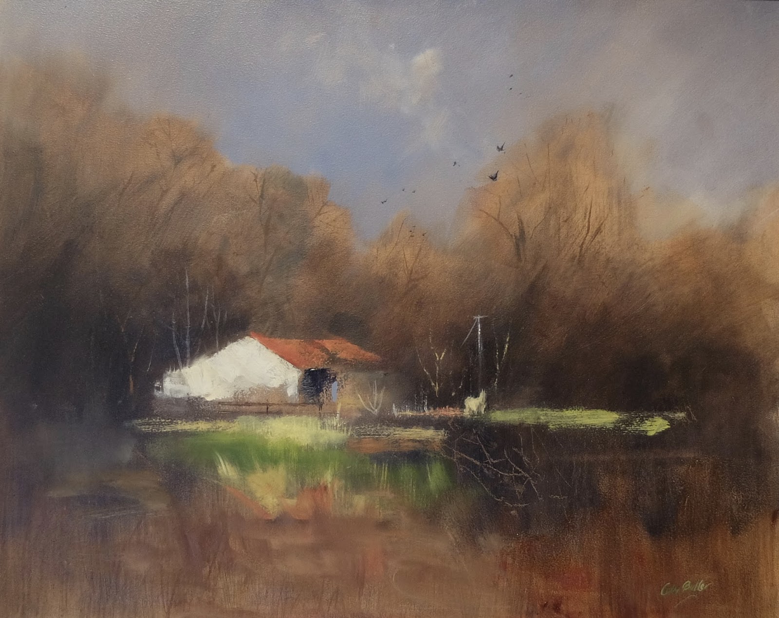 Colm Butler - Artist