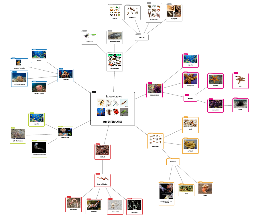 SCIENCE 3º: UNIT 5: CONCEPT MAP