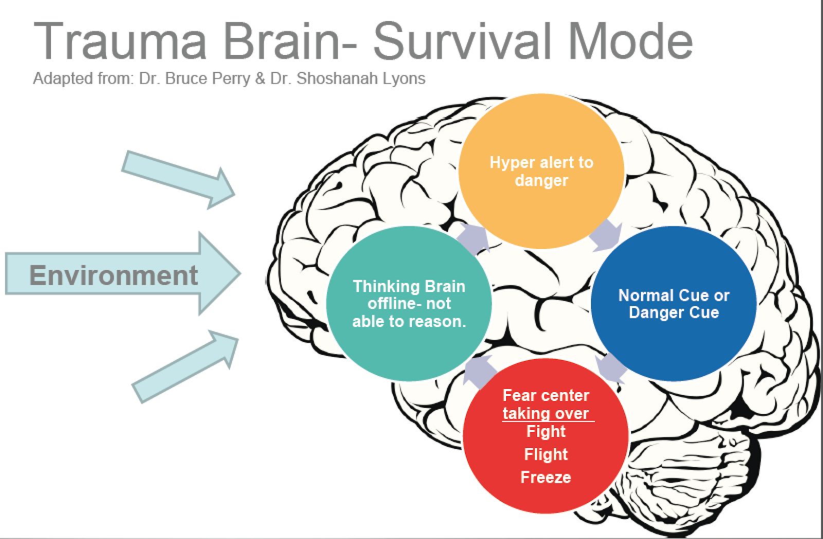 Fostering Attachment